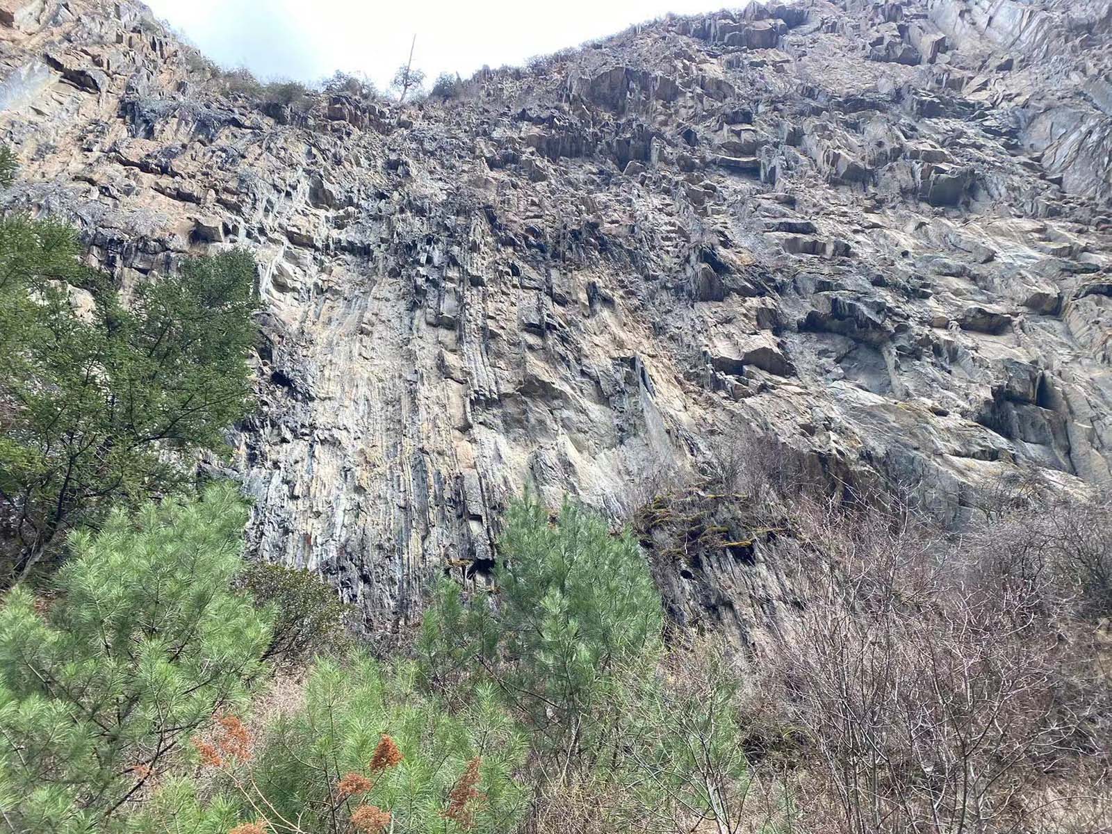 “Xikang-Group” Turbidite Flysch Formation（international class ...