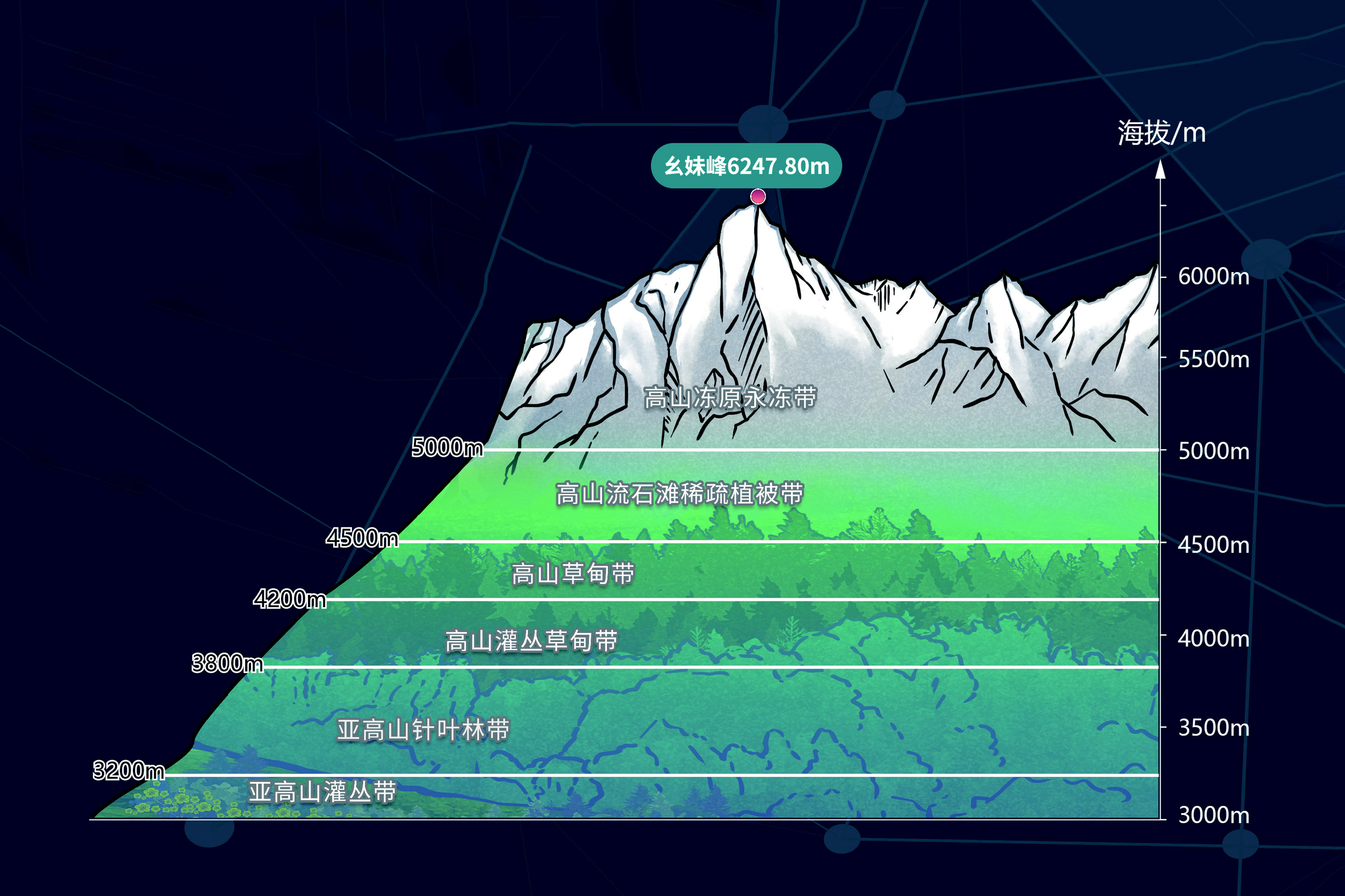 Ecological Resources - Siguniangshan Scenic Area